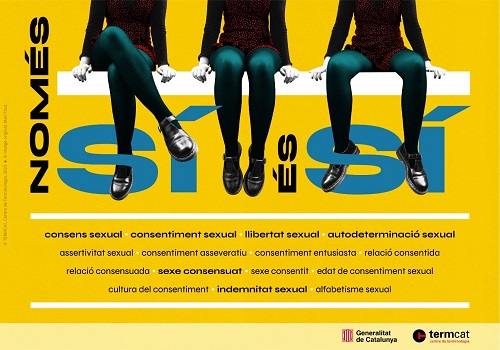 Els termes del Només Sí és Sí – Sandra Cuadrado i Bárbara Monllor – RLD ...